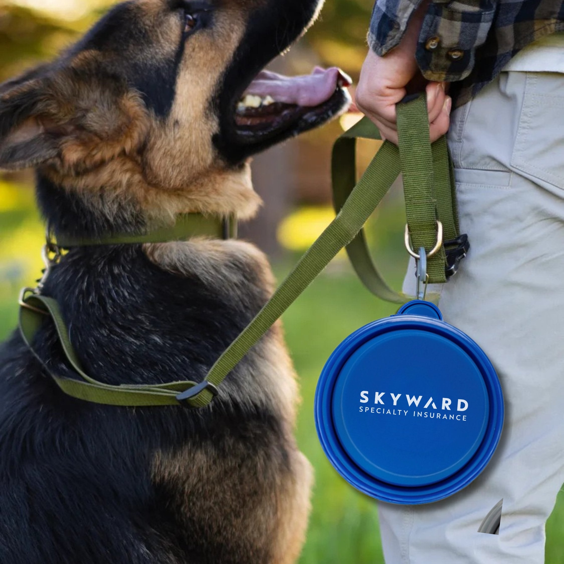 skywardspeciatlyinsurance-brandstore.myshopify.com – Skyward Insurance